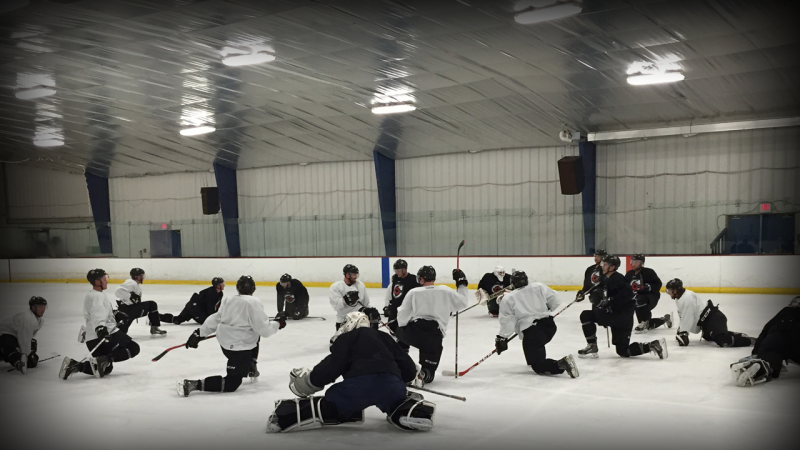 Cyclones Add to Training Camp Roster - Cincinnati Cyclones