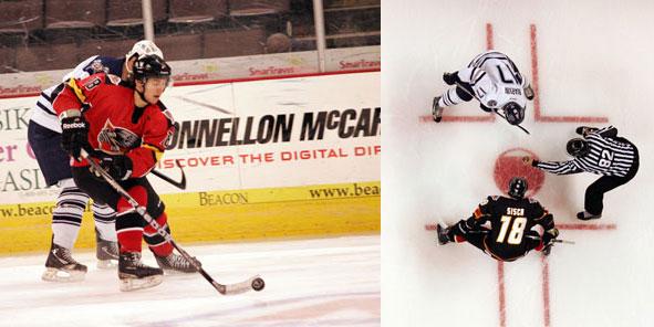 Matt Sisca Named to ECHL All-Rookie Team - Cincinnati Cyclones